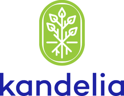 Kandelia | Removing barriers to immigrant and refugee success.